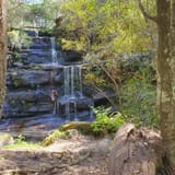 Ironbark Falls Track, New South Wales, Australia - 30 Reviews, Map ...