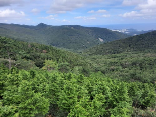 2023 Best 10 Trails and Hikes in Busan | AllTrails