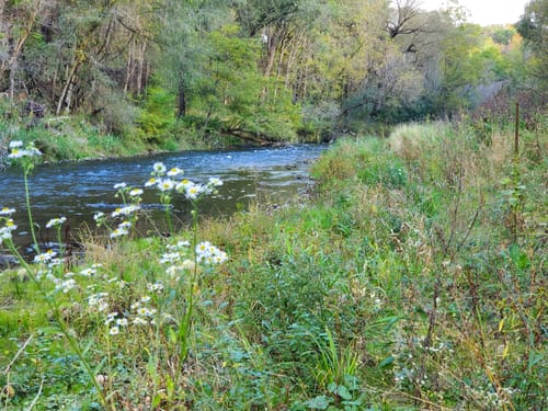 2023 Best Walking Trails in River Falls | AllTrails