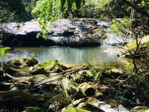 10 Best Hikes and Trails in Jilliby State Conservation Area | AllTrails