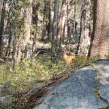 Lower Gaylor Lake Trail, California - 88 Reviews, Map | AllTrails
