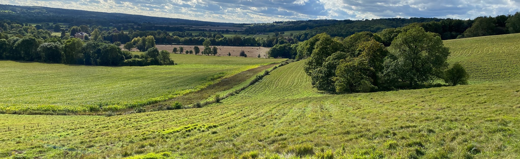 Chevening Circular: 88 Reviews, Map - Kent, England | AllTrails