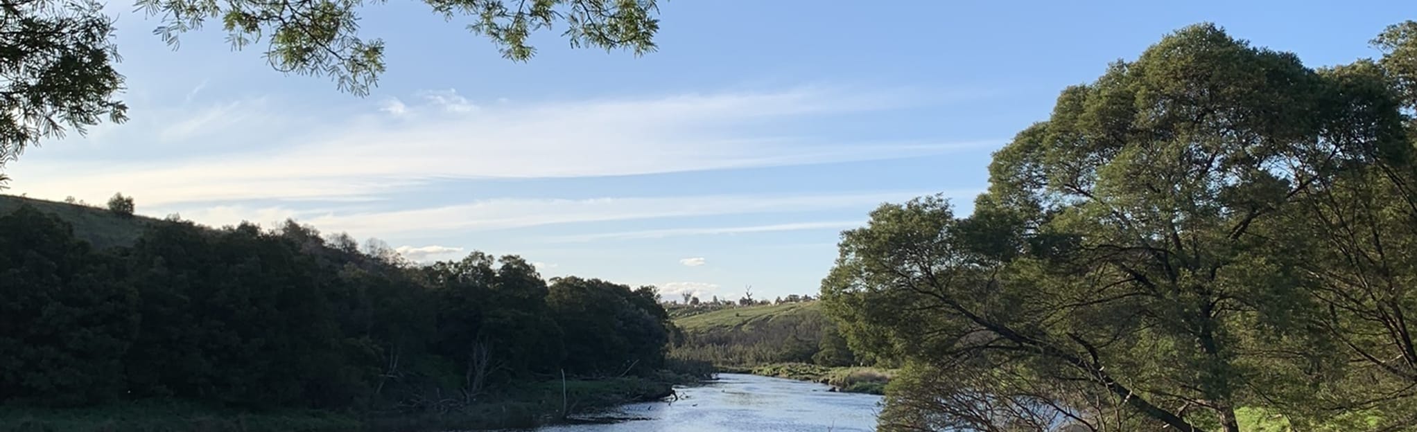 Ryan Hill via Barrier Hill Loop: 45 Reviews, Map - Australian Capital ...