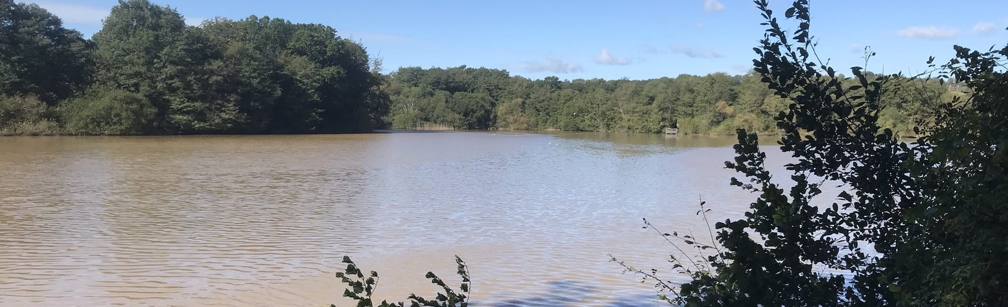 Balcombe Lake Circular - West Sussex, England | AllTrails