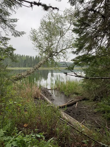 Best Hikes and Trails in Mobert | AllTrails