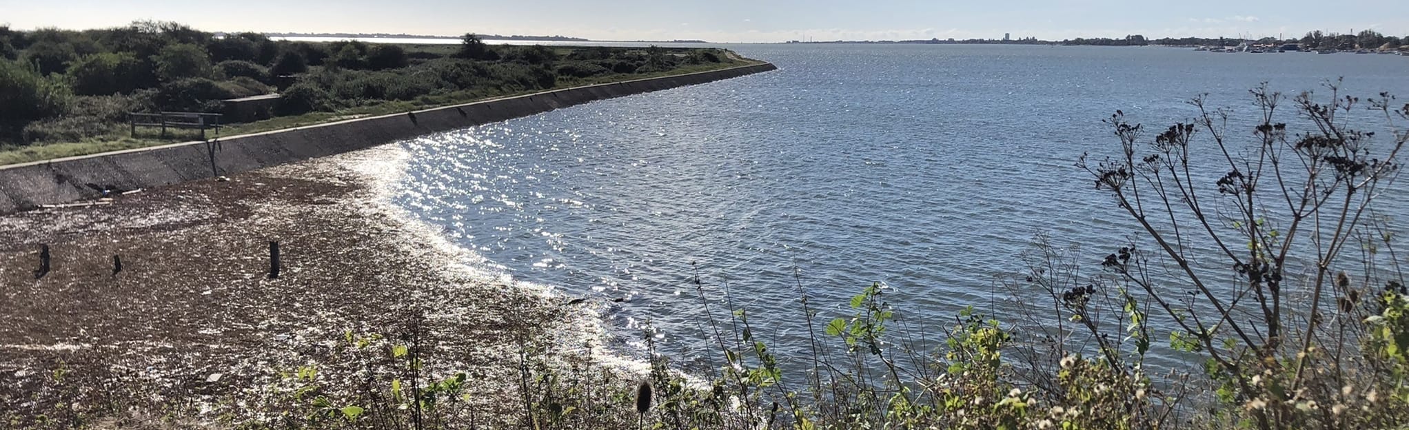 Farlington Marshes Walk: 117 Reviews, Map - Hampshire, England | AllTrails