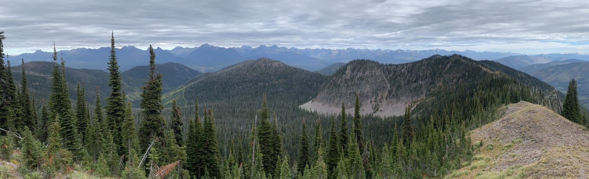 Moran Creek to Coal Ridge Lookout, Montana - 22 Reviews, Map | AllTrails