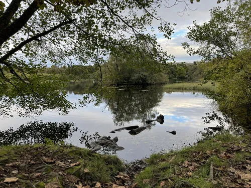 2023 Best River Trails in Mugdock Country Park | AllTrails