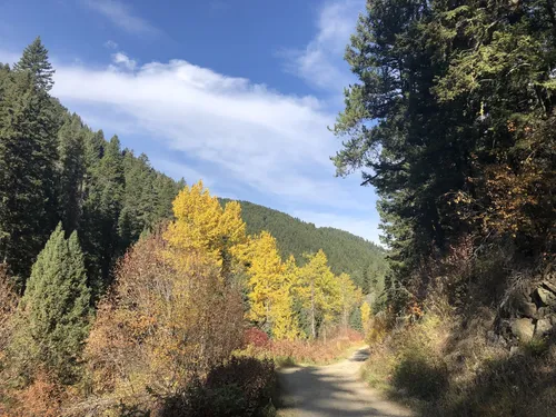 2023 Best 10 Camping Trails in Custer Gallatin National Forest | AllTrails