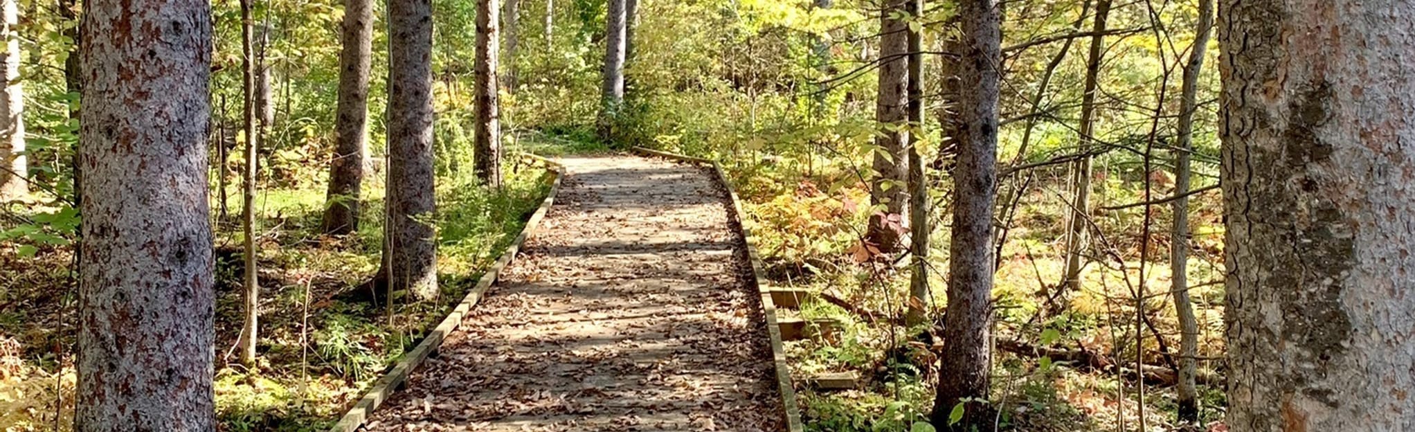 Warwick Forest Interpretive Trail: 101 Reviews, Map - Ontario, Canada ...