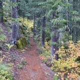 Box Canyon Trail, Washington - 254 Reviews, Map | AllTrails