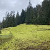 Box Canyon Trail, Washington - 254 Reviews, Map | AllTrails