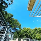 Trinity Forest Trail, Texas - 453 Reviews, Map | AllTrails