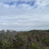 Jones Beach Bike Path and Ocean Parkway Path, New York - 420 Reviews ...