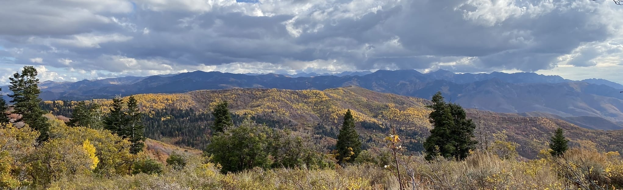 Bald Mountain via The Great Western Trail, Utah - 270 Reviews, Map ...