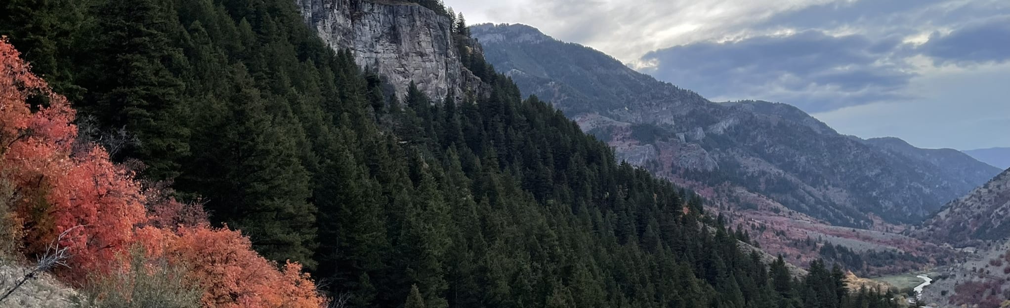 Crimson Trail: 941 Reviews, Map - Utah | AllTrails