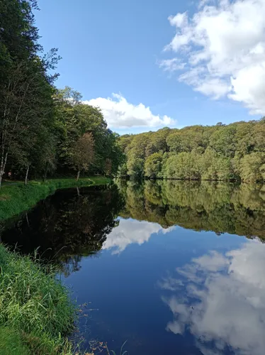 2023 Best Historic Site Trails in Forêt domaniale de Saint-Sever ...
