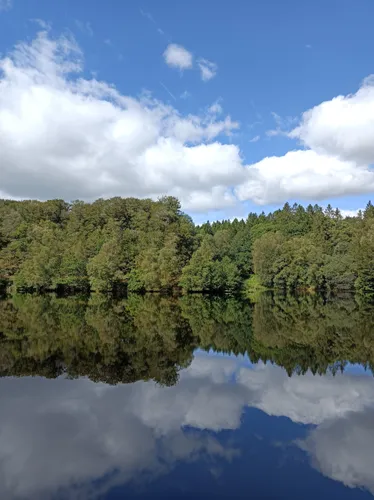 Best Forest Trails in Forêt domaniale de Saint-Sever | AllTrails