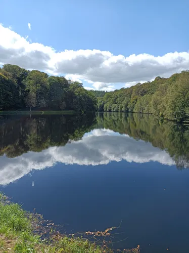 2023 Best Historic Site Trails in Forêt domaniale de Saint-Sever ...