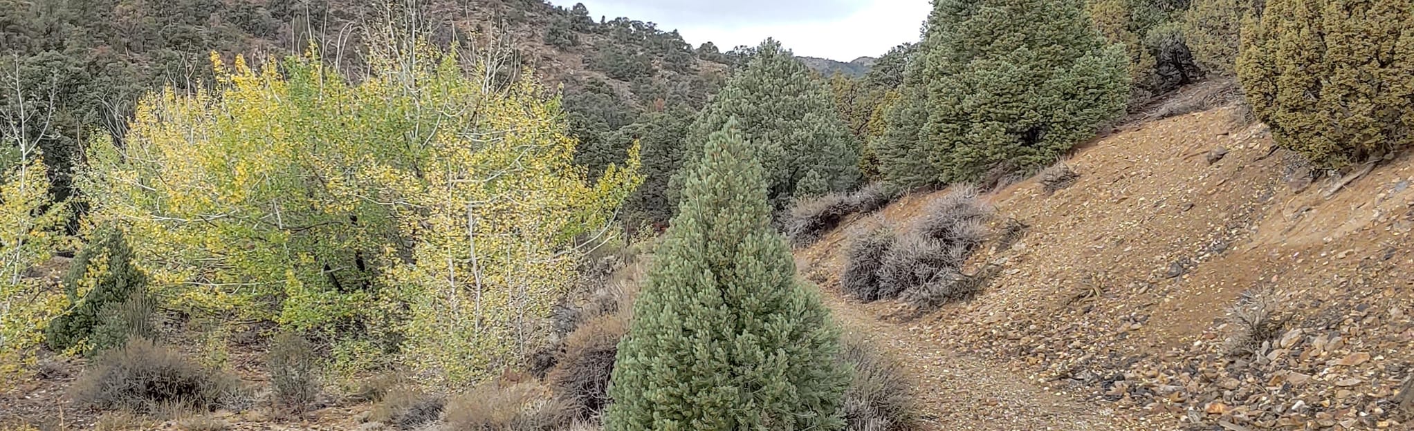 Ruby Lakes Boating Route | Map, Guide - Nevada | AllTrails