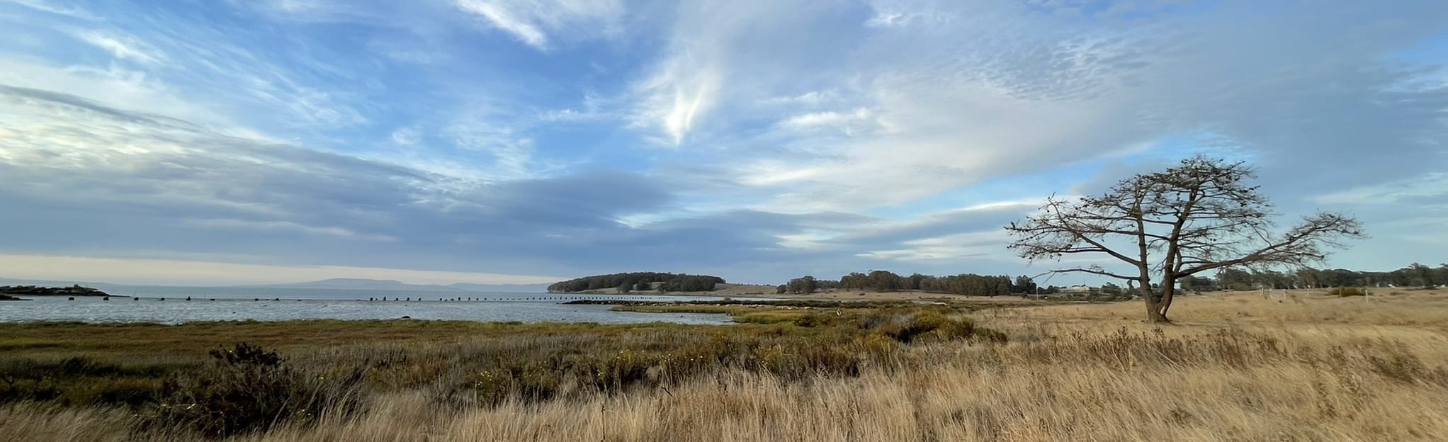 China Clipper Spur and Cordgrass Jetty Trail: 58 Reviews, Map ...