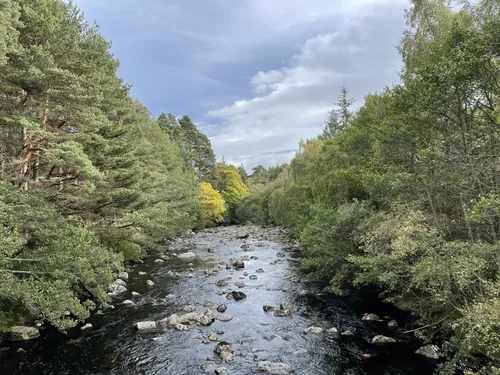Best River Trails in Muir of Ord | AllTrails