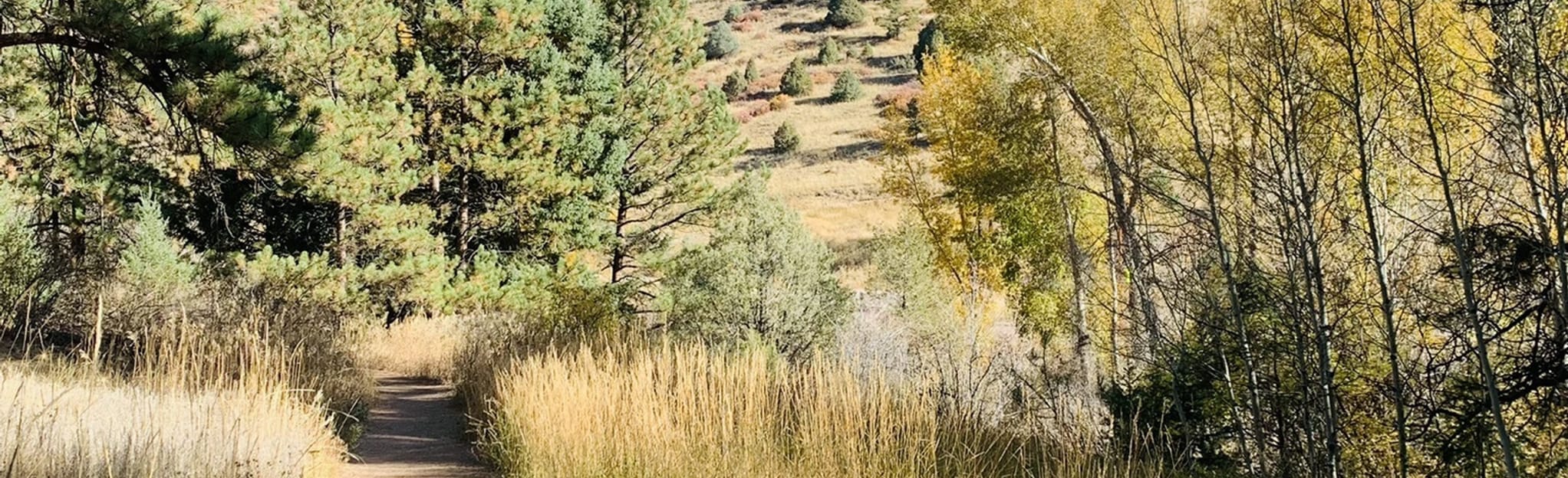 Raven's Roost and Oxen Draw Loop Trail - Colorado | AllTrails