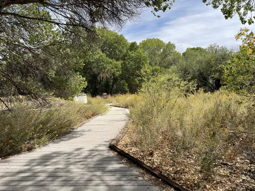 Best Hikes and Trails in Morongo Valley | AllTrails