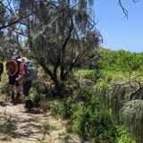 Cooloola Great Walk: Segment 1, Queensland, Australia - 156 Reviews ...