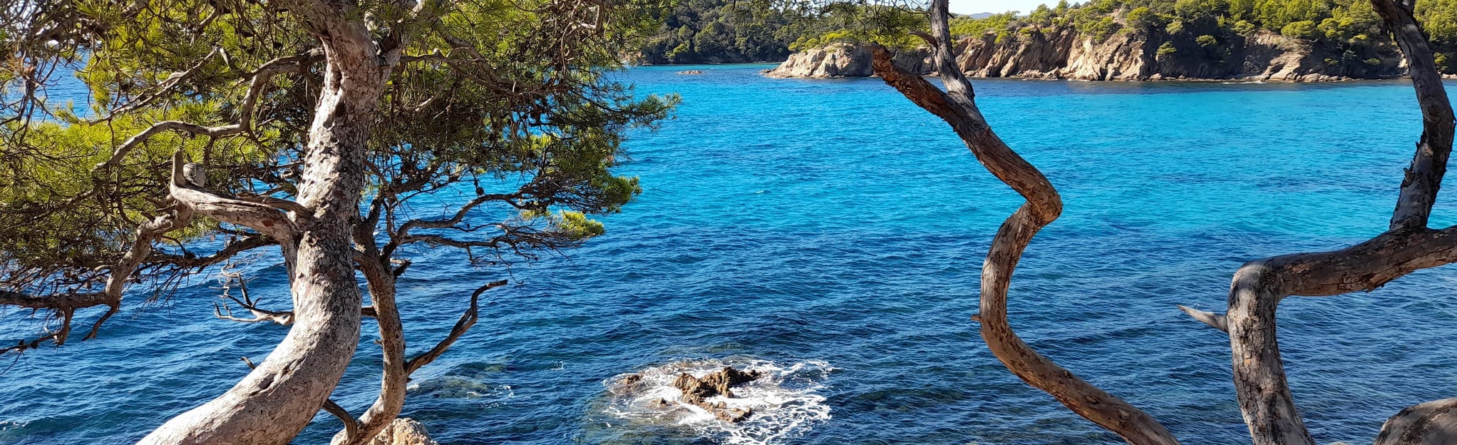 Plage de l'Argentière - Fort de Brégançon: 78 Reviews, Map - Var ...