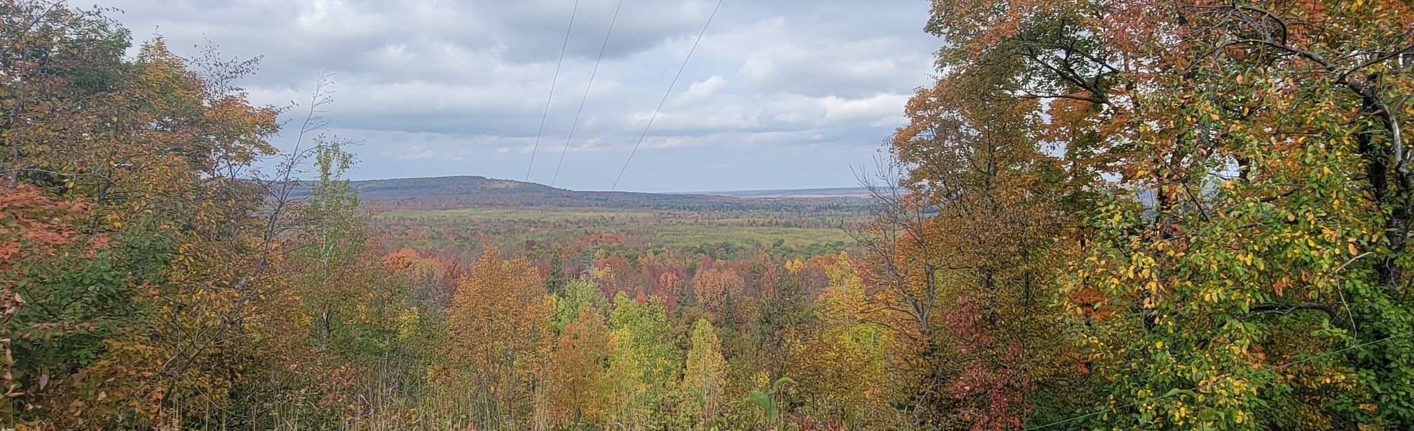 North Country Trail in Old Victoria: 12 Reviews, Map - Michigan | AllTrails