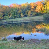 Manning Trail, New Hampshire - 172 Reviews, Map | AllTrails