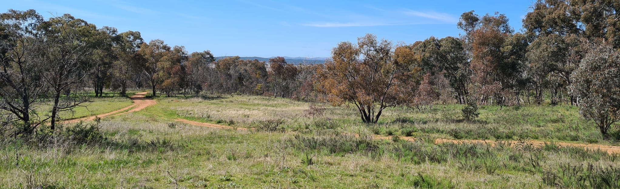 Mount Ainslie Base Circuit, Australian Capital Territory, Australia ...