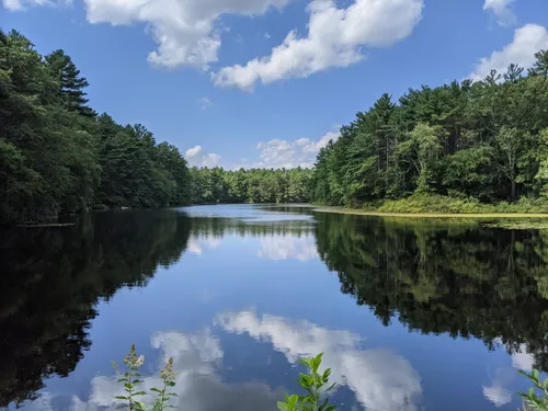 10 Best Hikes and Trails in F. Gilbert Hills State Forest | AllTrails