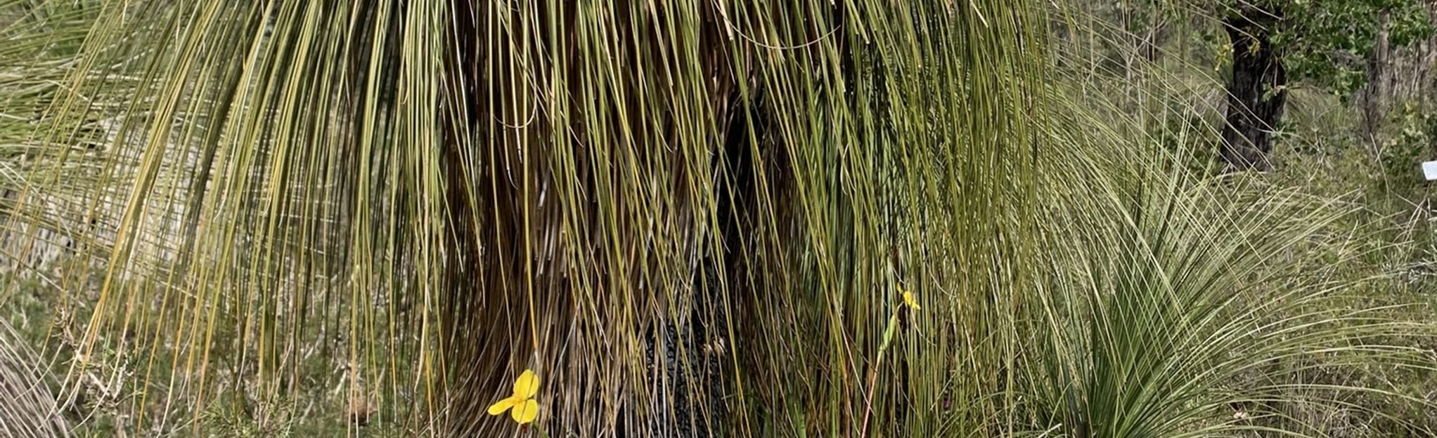 Ambergate Reserve Loop, Western Australia, Australia - 21 Reviews, Map ...