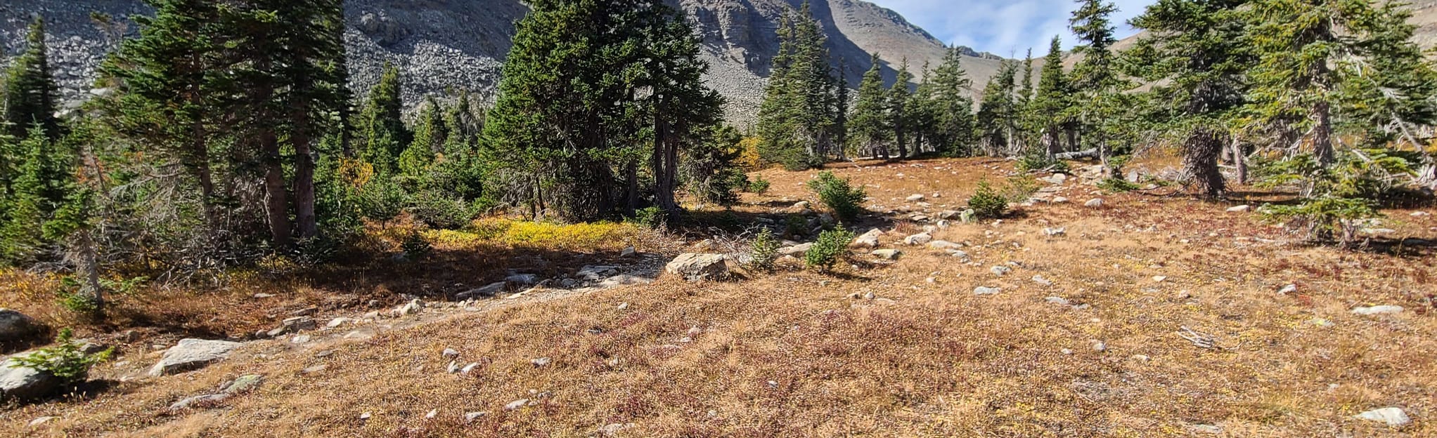 Beaver Creek Trail to Sawtooth Mountain: 63 Reviews, Map - Colorado ...