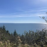 Martin Head, New Brunswick, Canada - 17 Reviews, Map | AllTrails