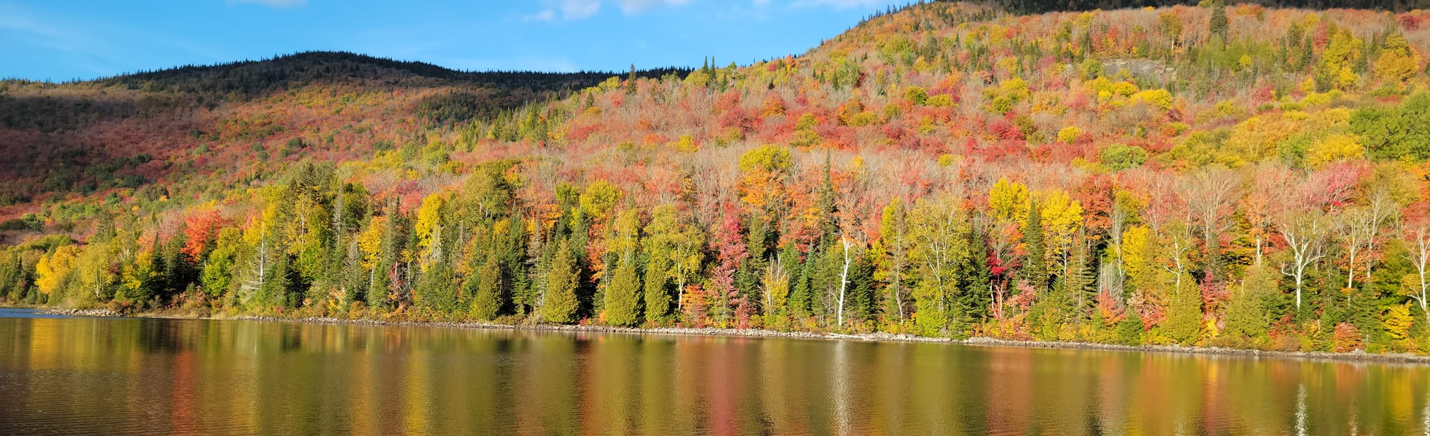 Grand Tour of Mount Kaaïkop, Quebec, Canada - 484 Reviews, Map | AllTrails