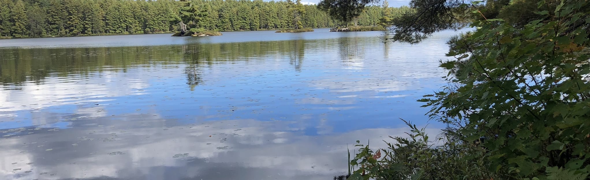 Berm Lake and Johnson Lake Loop - Ontario, Canada | AllTrails
