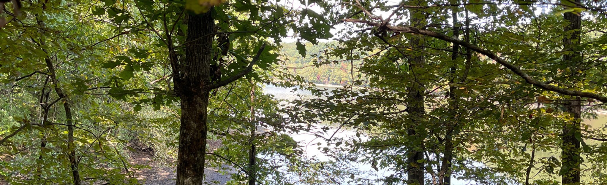 Fords Bay via LBL Wranglers Campground Trail: 60 Reviews, Map ...