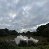 Dial Post - Shipley Circular, West Sussex, England - 181 Reviews, Map ...