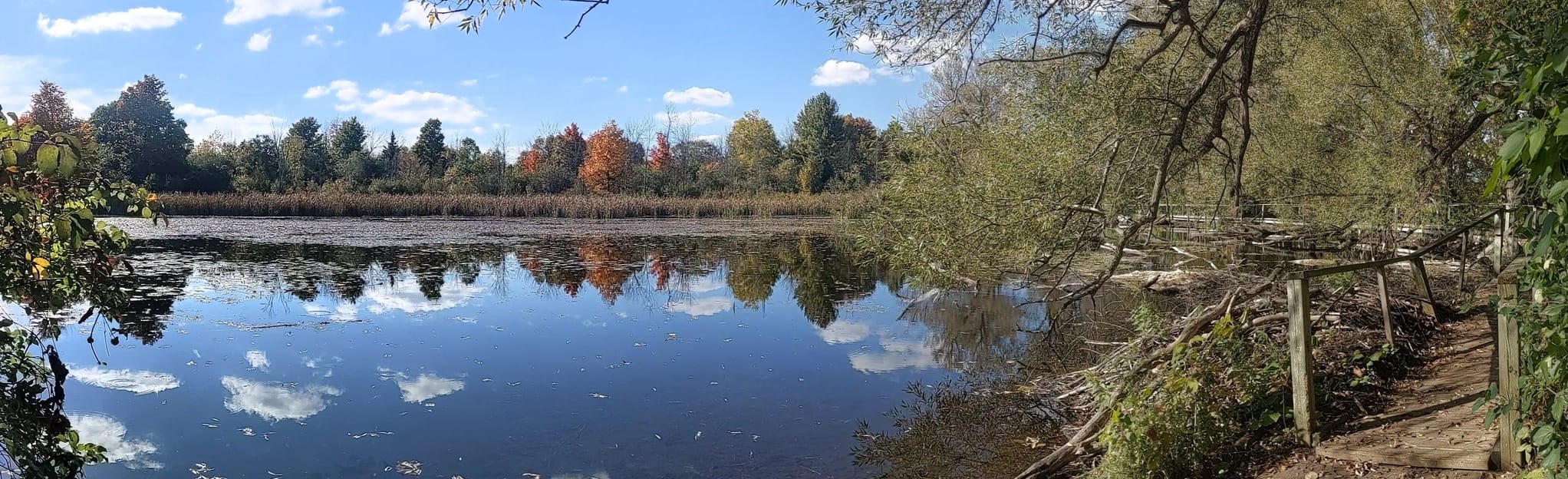 Yellow Loop, Ontario, Canada - 34 Reviews, Map | AllTrails