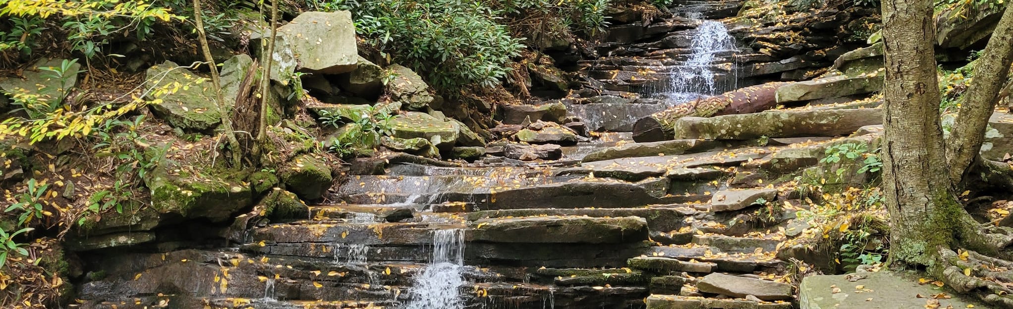 Balanced Rock Viewing Area: 175 Reviews, Map - Pennsylvania | AllTrails