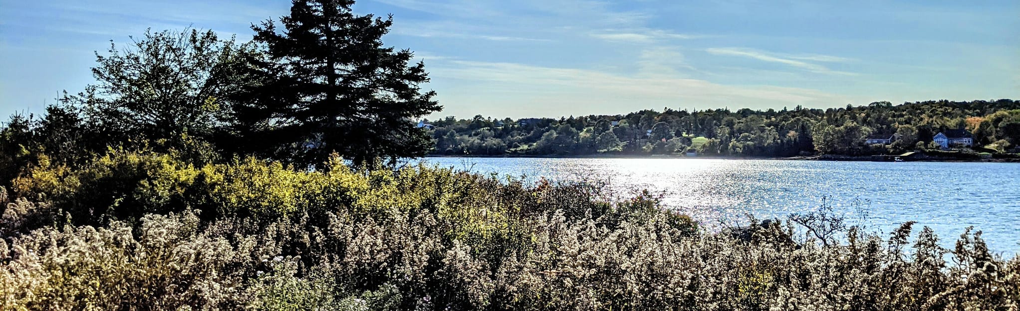 Graves Island Coastal Walk: 153 Reviews, Map - Nova Scotia, Canada ...