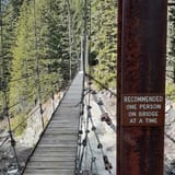 Tahoma Creek Suspension Bridge, Washington - 118 Reviews, Map | AllTrails