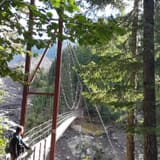 Tahoma Creek Suspension Bridge, Washington - 118 Reviews, Map | AllTrails