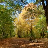 Courthouse Park, Minnesota - 64 Reviews, Map | AllTrails