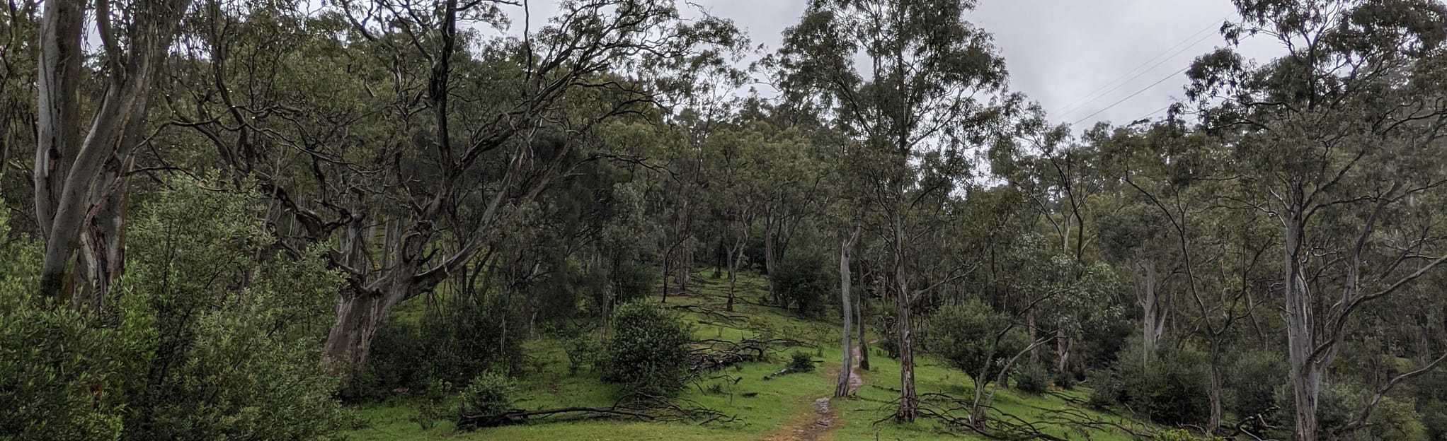 AllTrails | Yurrebilla Trail: Morialta to River Torrens: 17 Reviews ...