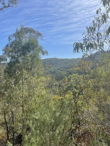 10 Best Hikes and Trails in Berowra Valley National Park | AllTrails
