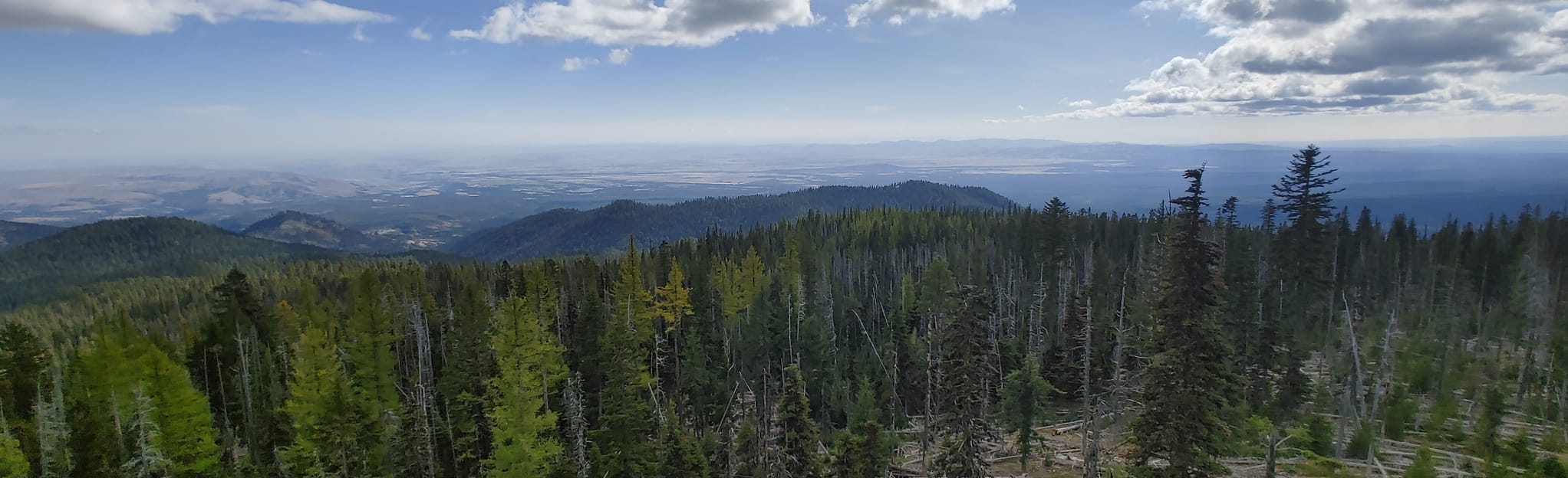 Flag Point Lookout Trail: 25 Reviews, Map - Oregon | AllTrails